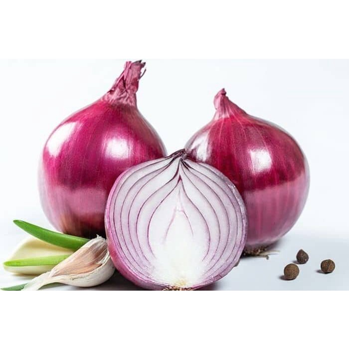 Jual 50 BUTIR BIJI / BENIH BAWANG BOMBAY MERAH ONION RED BURGUNDY ...