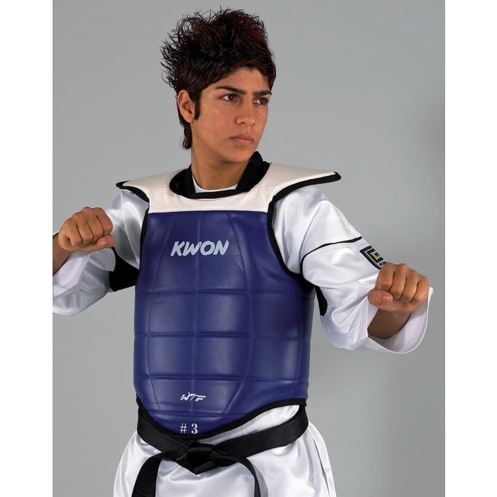 Jual Kwon Taekwondo Body Protector (WTF) | Shopee Indonesia