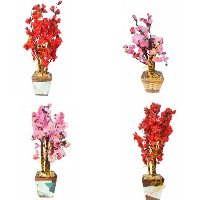 Jual IMLEK !! Bunga Imlek Sincia Pohon Meihua Mehwa Sakura Konyien ...