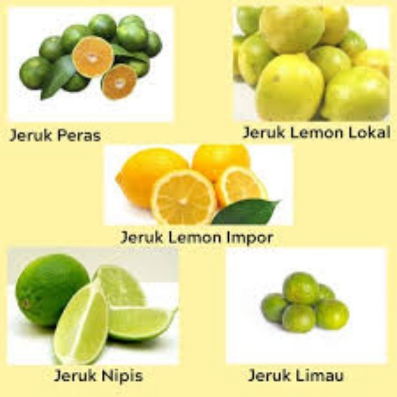 Jual ASAM (NIPIS ASLI, ASAM BIASA/BEGU,KASTURI,LEMON LOKAL) | Shopee ...