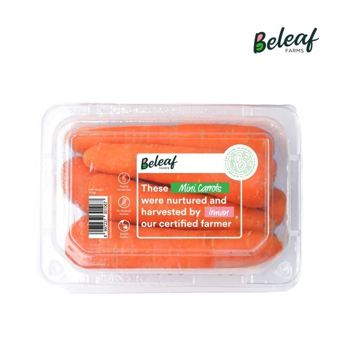Jual Beleaf Farms Mini Brastagi Carrot 300g Wortel Mini | Shopee Indonesia