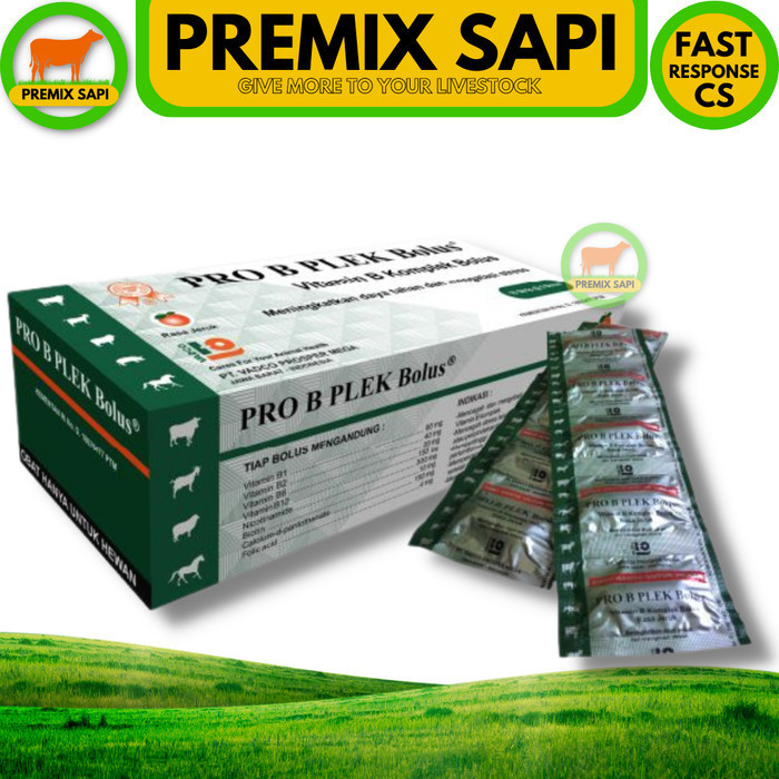 Jual Pro B Plek Bolus 1 Dus (50 Bolus) - Vitamin B Complex Hewan Sapi ...