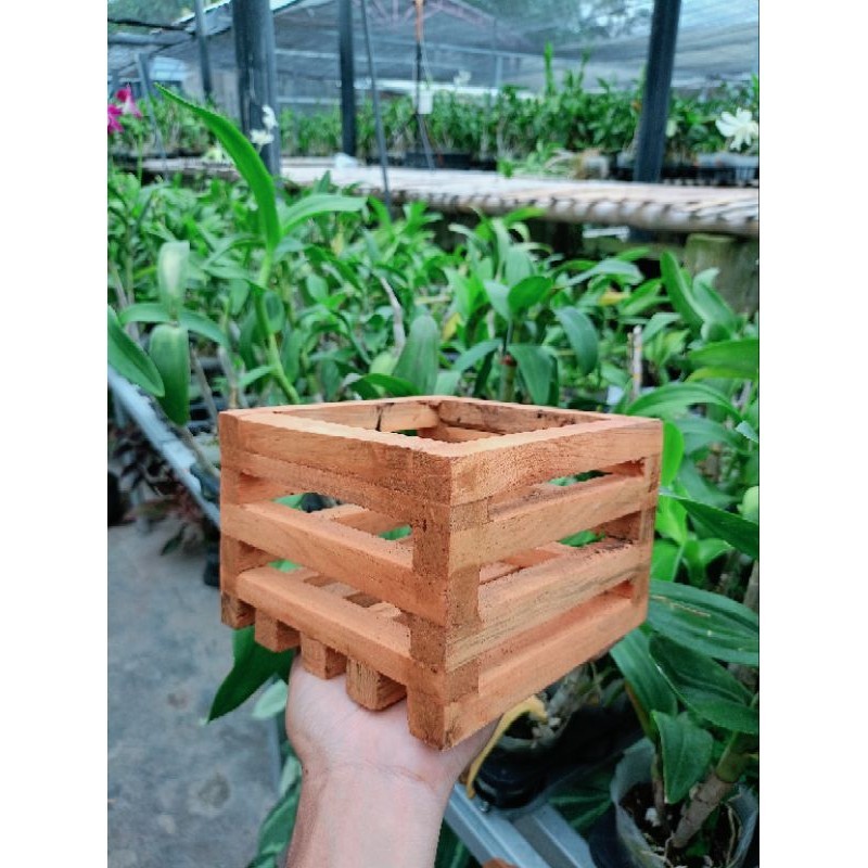 Jual pot kayu jati asli 50 dapat 2, kokoh dan kuat | Shopee Indonesia