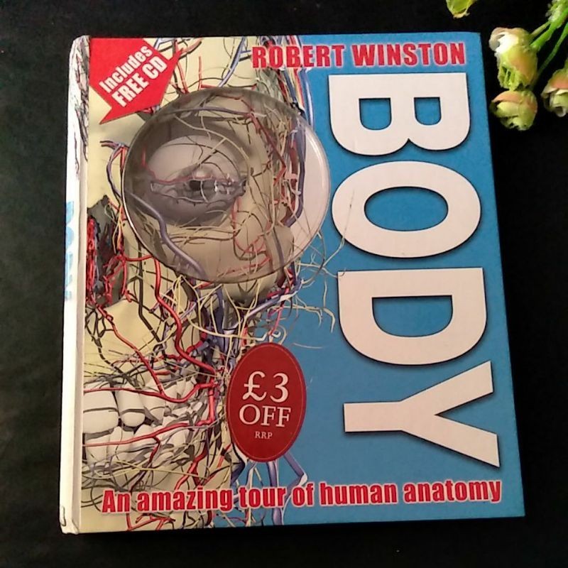 Jual buku Robert Winston Body An amazing tour of human anatomy DK ...