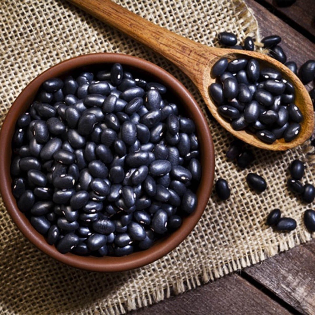 Jual Seed Entrepreneur Bibit Benih Kedelai Hitam Besar - 10 Butir ...