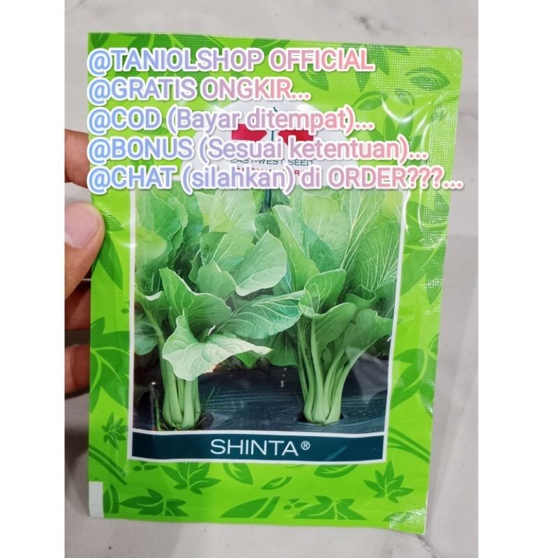 Jual Benih Bibit Caisim Sawi Shinta, Cocok ditanam di dataran rendah sampai Tinggi (Tidak Pahit ...