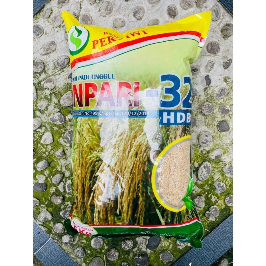 Jual Benih Padi Unggul Inpari 32 Dari Benih Pertiwi Isi 5 Kg | Shopee Indonesia