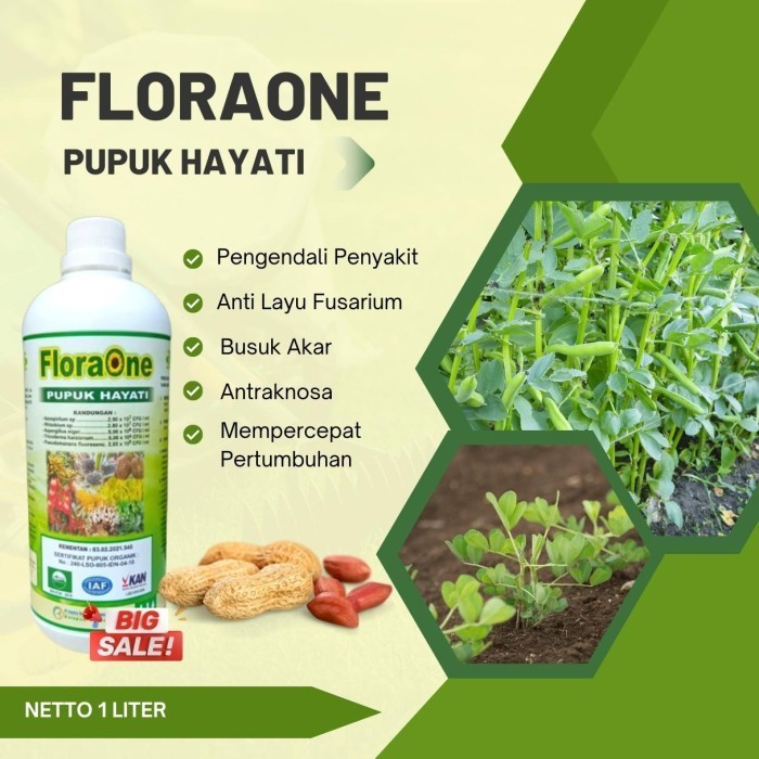 Jual Trierma Fungisida Hayati Pupuk Cair, Trichoderma Sp Anti Jamur ...