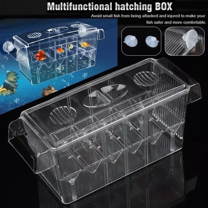 Jual Breeding Box Isolation Incubation Box Kotak Karantina Ikan Guppy ...