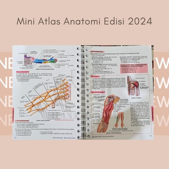 Jual Medical Mini Notes Mini Atlas Of Anatomy/Mmn Atlas Anatomi/Mmn ...