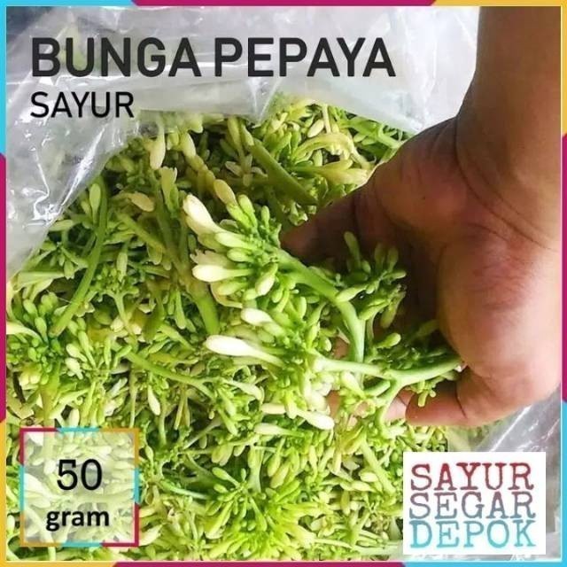 Jual Bunga pepaya / kembang pepaya | Shopee Indonesia