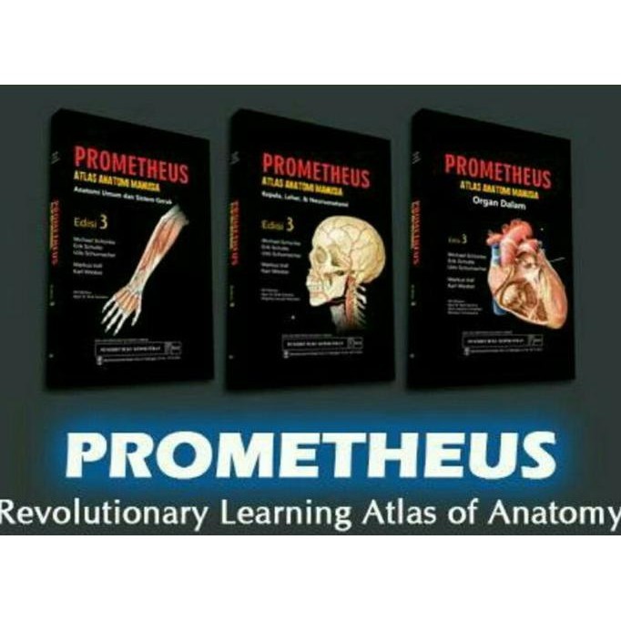 Jual [New] Buku Prometheus Atlas Anatomi Manusia | Shopee Indonesia