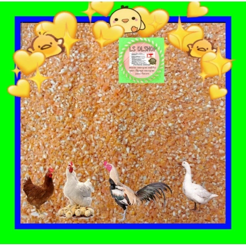 Jual Harga Ayam Sekilo Terlengkap & Harga Terbaru Juni 2026 | Shopee ...