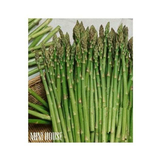 Jual BIJI BIBIT BENIH ASPARAGUS | Shopee Indonesia