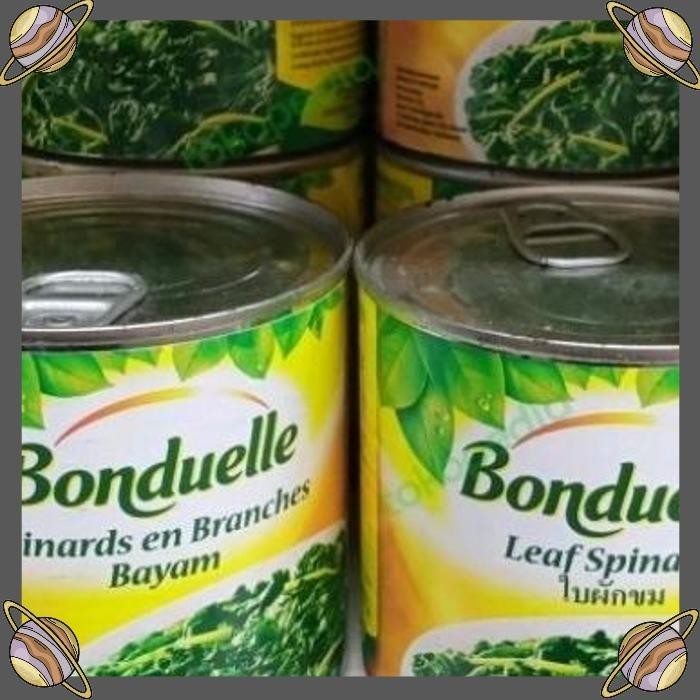 Jual [CLS] BONDUELLE LEAF SPINACH 400 GR CAN/BAYAM KALENG | Shopee ...