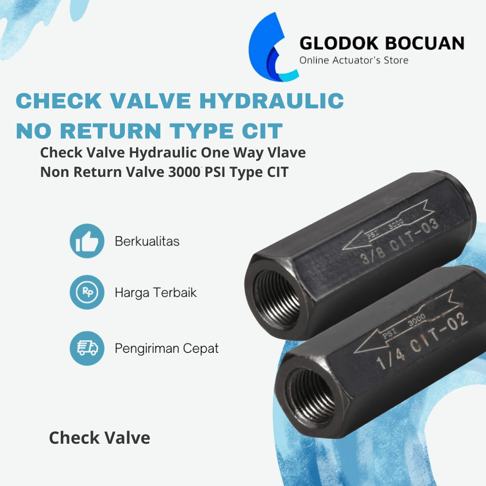 Jual 1/2" One Way Check Valve Hydraulic 3000 PSI 1/2 Inch Type CIT-04 ...