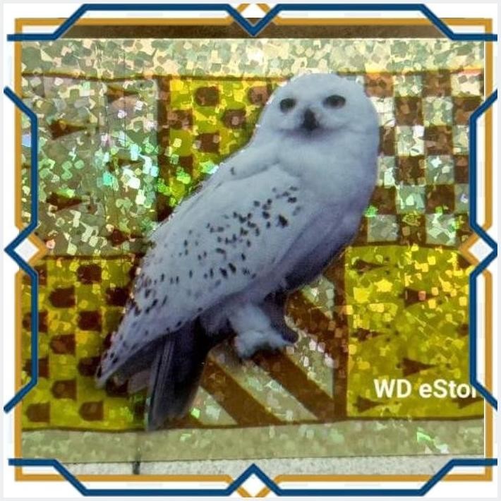 Jual [WDE] STIKER HOLO PANINI HARRY POTTER PHILOSOPHER'S STONE, HEDWIG #197 | Shopee Indonesia