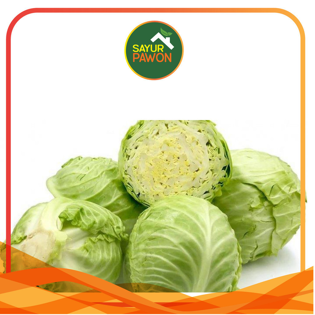 Jual KOL / KUBIS Potong (Ecopack) per 250 gram | Shopee Indonesia