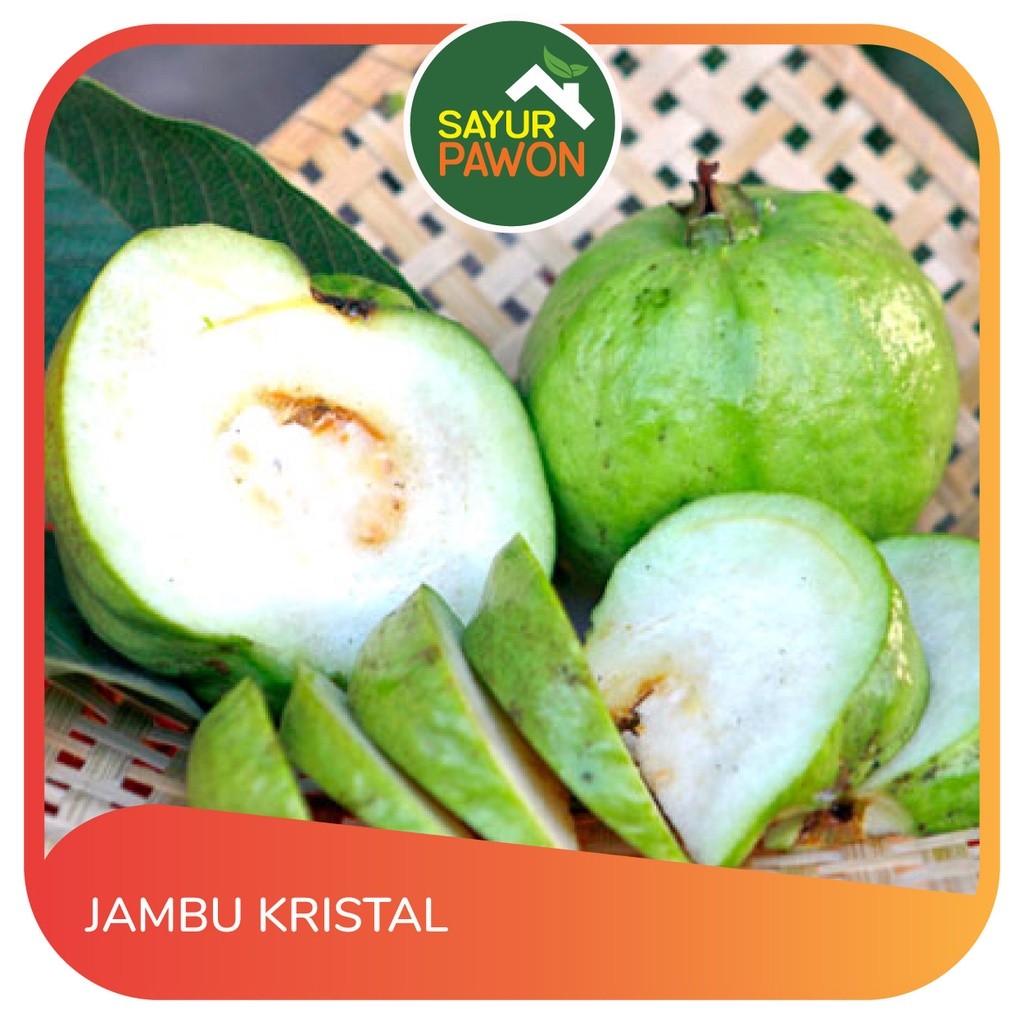 Jual Jambu Kristal / Kg | Shopee Indonesia
