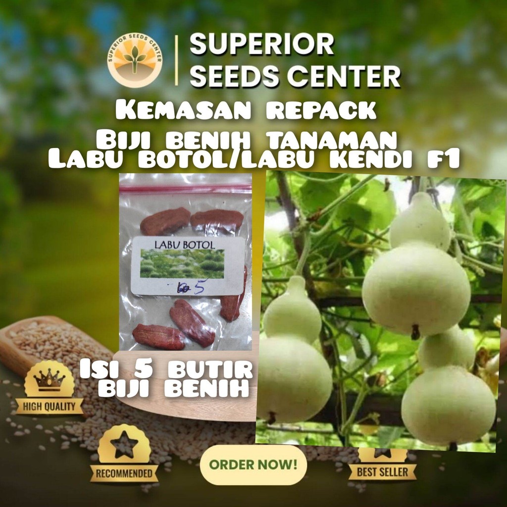 Jual 5 butir biji benih tanaman labu botol/labu kendi (kemasan repack ...
