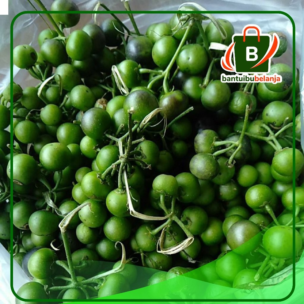 Jual Sayur Leunca 250 gr ( Sayur Segar Bantu Ibu) | Shopee Indonesia