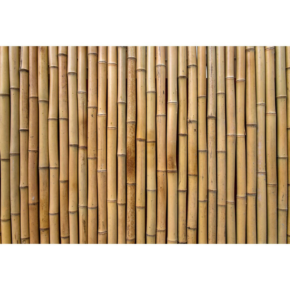 Jual Alas Foto Lipat Bambu 42 X 30 Cm / Baground Photo Bamboo (Gdl-06 ...