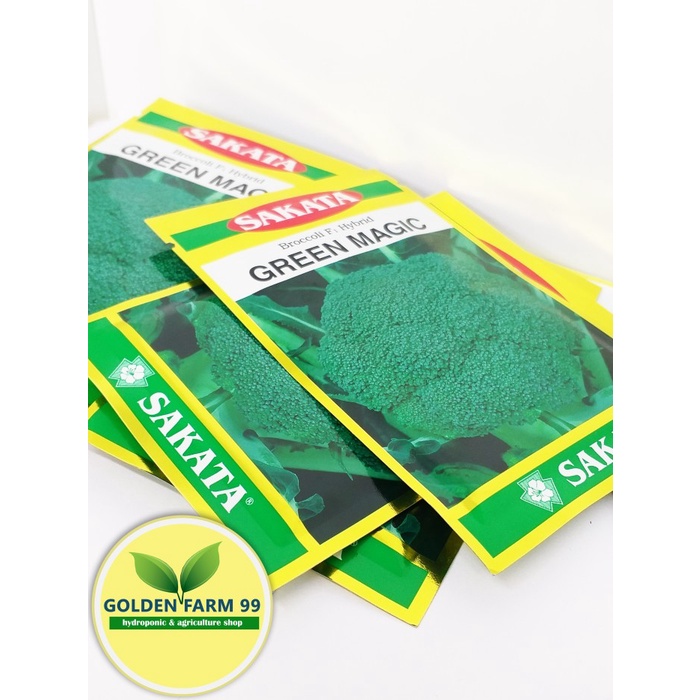 Jual Benih Brokoli Hibrida F1 Green Magic Sakata Seed - Ori /Tanimakmur | Shopee Indonesia