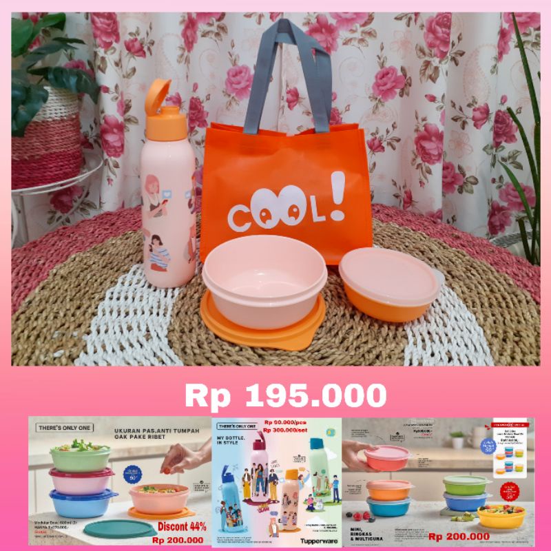 Jual Tempat bekal Tupperware ( Fancy 750ml, modular bowl 600ml dan ...