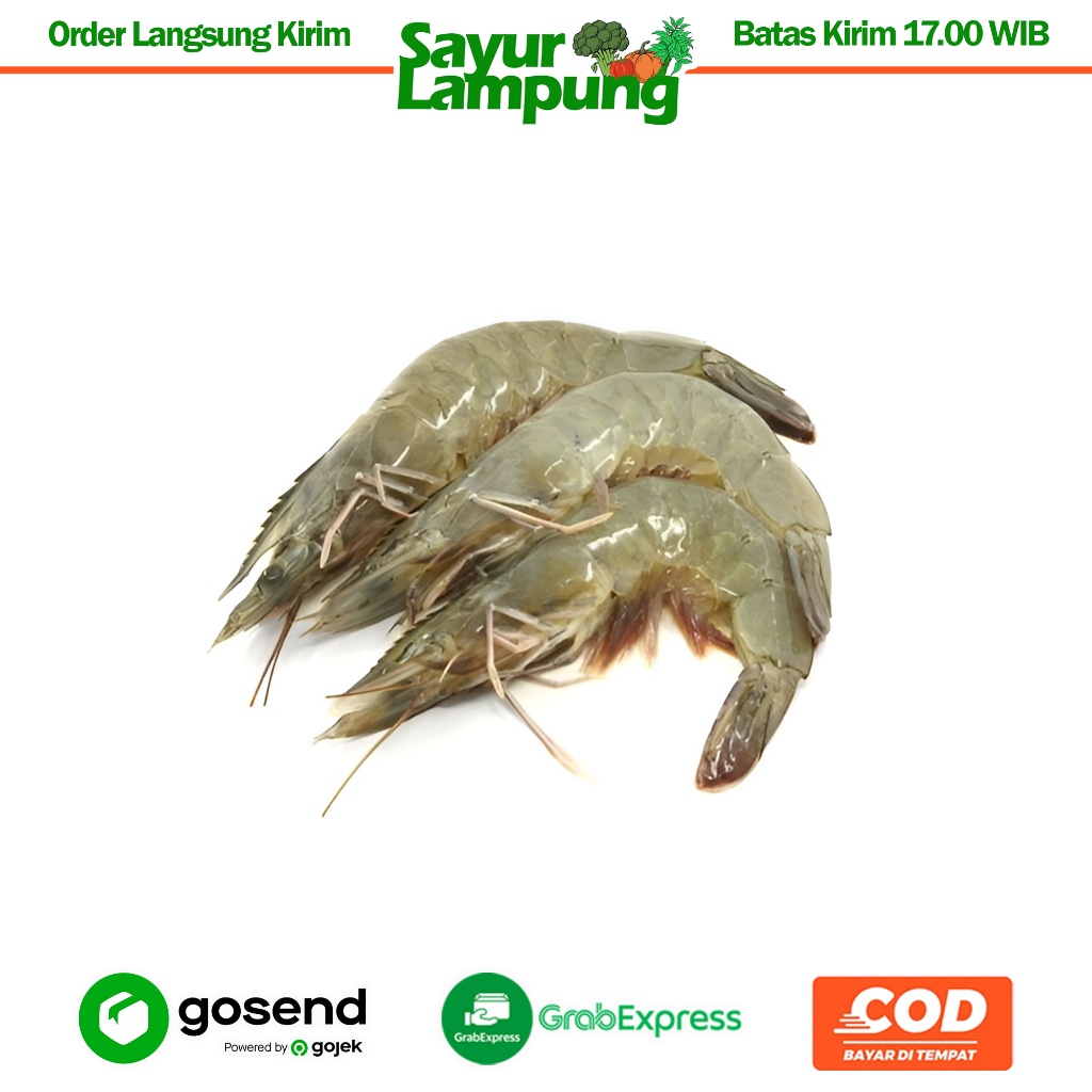 Jual Udang Ukuran Sedang 250 Gr - Sayur Lampung | Shopee Indonesia