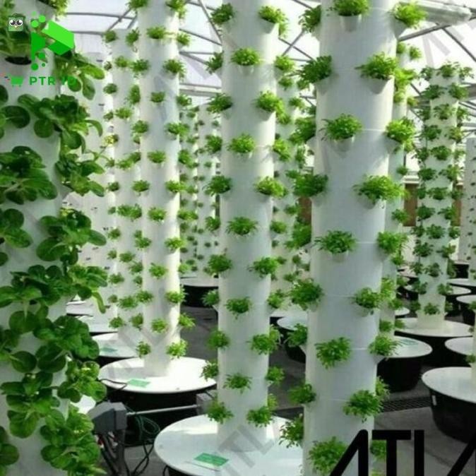 Jual PTR Paket Tower Vertikal Hidroponik 1 Meter Paralon Garden ...