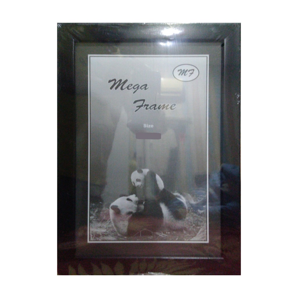 Jual Bingkai Foto 20X30 # 8R+ 8R plus S8R 8RS frame photo studio pigura ...