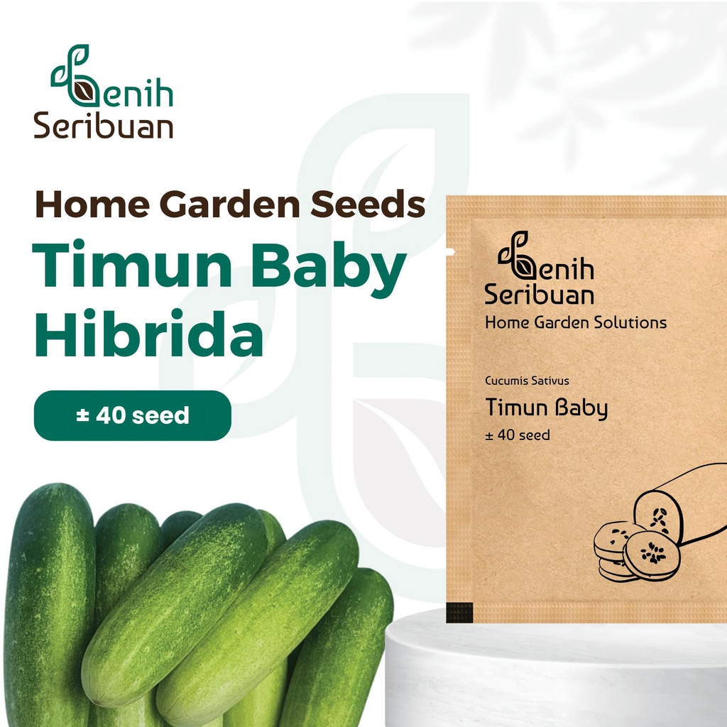Jual Benih Seribuan - Benih Sayuran Timun Baby F1 Hibrida | Shopee ...