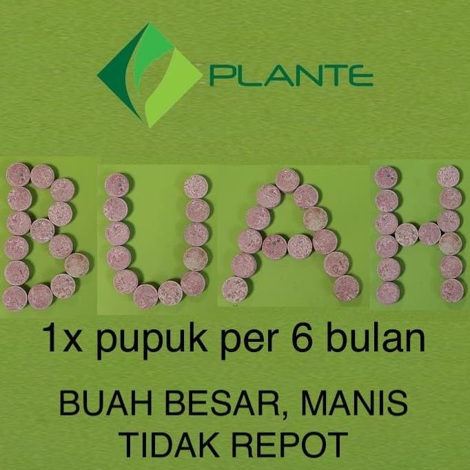 Jual PUPUK TANAMAN BUNGA & BUAH NPK TABLET FUNGSI HARA LENGKAP | Shopee ...