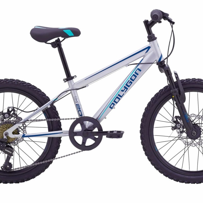 Jual Promo Sepeda Bmx 20 Polygon Maze | Shopee Indonesia