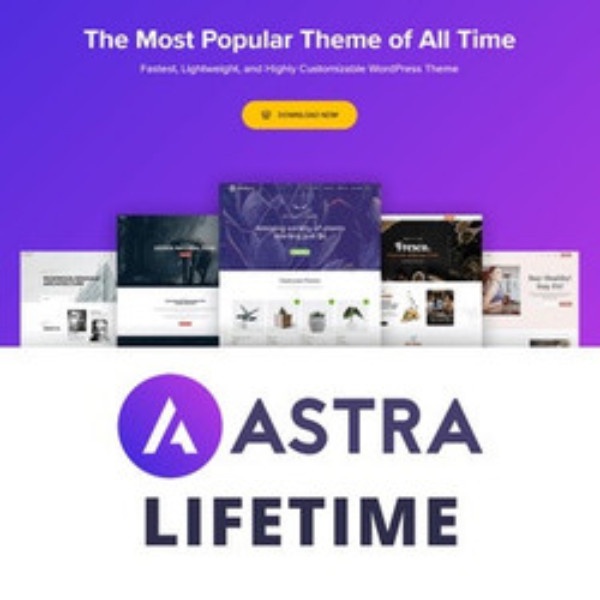 Jual Astra Theme Premium + Astra Pro Original Lisence - Update Otomatis ...