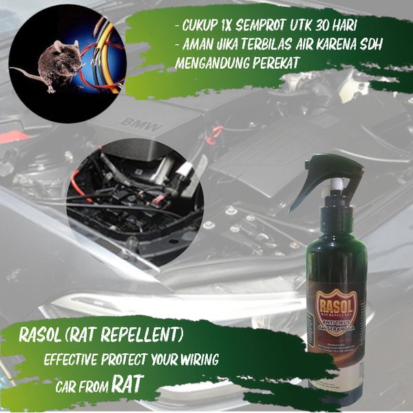 Jual Rat Repellent Parfum Pengusir Tikus Cairan Pengusir Tikus Obat ...