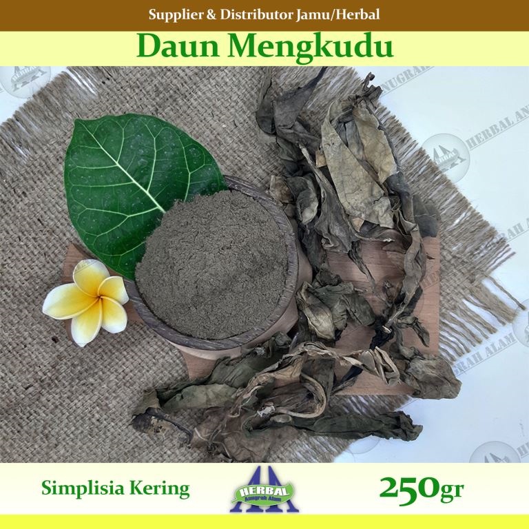 Jual Daun Mengkudu (Kering) 250Gr | Morinda Citrifolia | Pace - 100% ...
