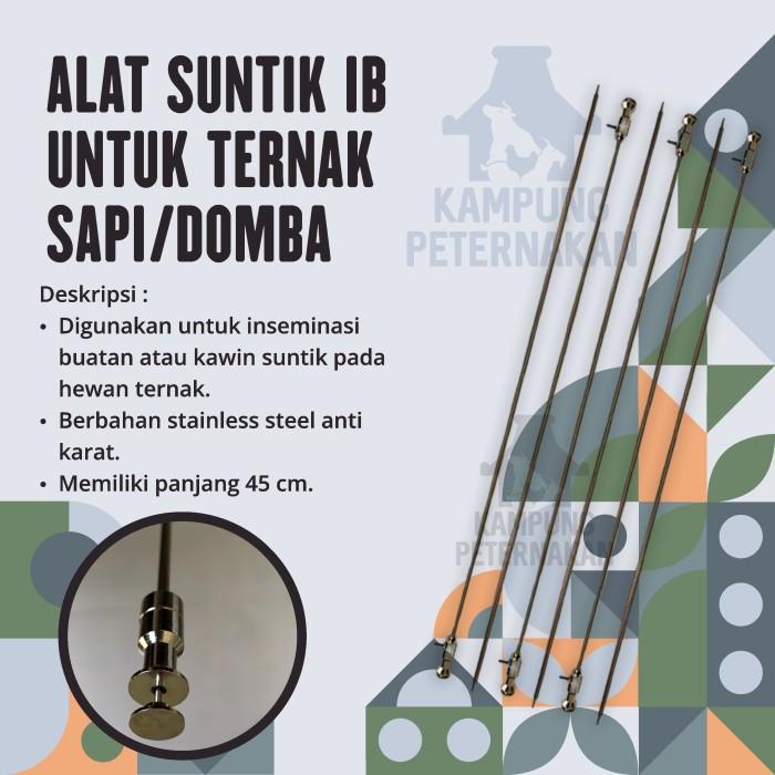 Jual Gun IB Sapi Alat Suntik Inseminasi Suntik AI Hewan Ternak Sapi ...