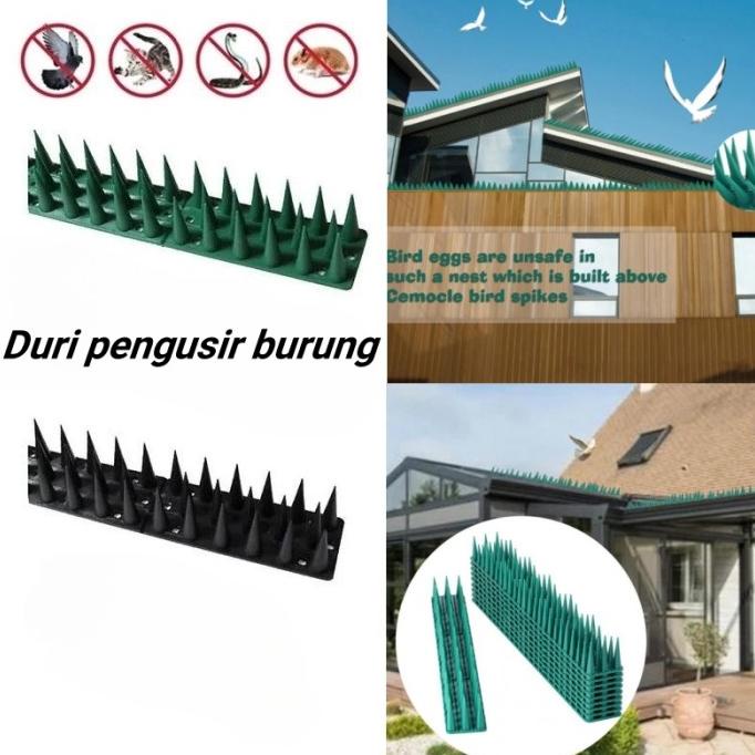 Jual Alat Pengusir Paku Duri Anti Burung Kucing Anjing Untuk Pagar ...