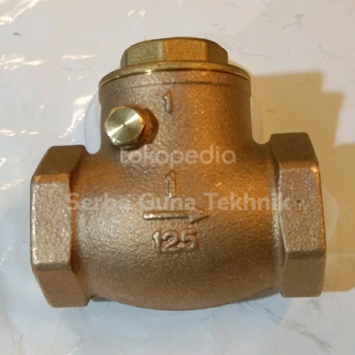 Jual [Original] Swing Check Valve 1 Inch Kitz Kuningan Klep Tabok Class 125 Drat Bspt Terbaru ...