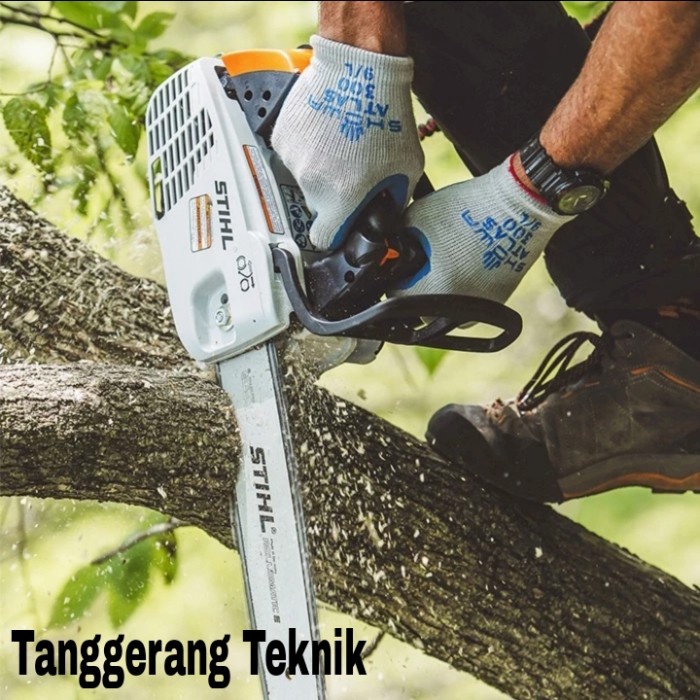 Jual Baru Mesin Chainsaw Stihel Ms 194T 12Inch Top Handle Saw Sthil Ms ...