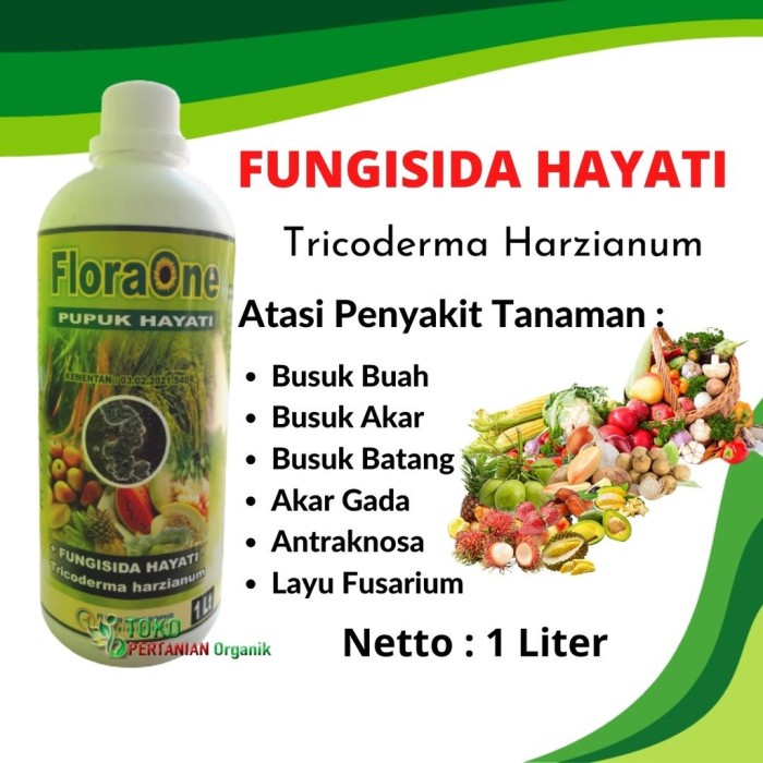 Jual Obat Fungisida Hayati Trichoderma Cair, Pupuk Busuk Buah Tanaman ...