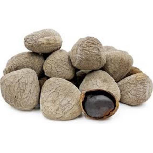 Jual Buah Kluwek Pucung (250 Gram) | Shopee Indonesia