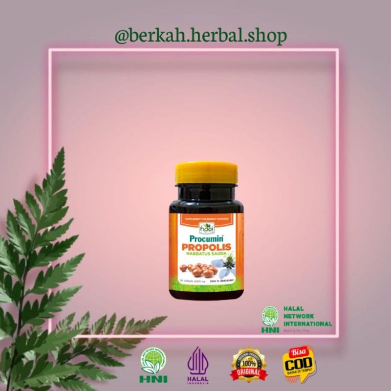 Jual PROCUMIN PROPOLIS HNI HPAI | Shopee Indonesia