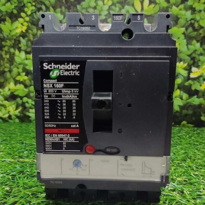Jual Mccb Schneider Breaker Nsx160F 125A 3Phase 3P Lv430631 Tm125D Tele ...
