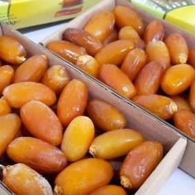 Jual Kurma Muda Ruthob 1Kg Kurma Ruthob Libya Fresh Frozen Kurma Ruthob ...