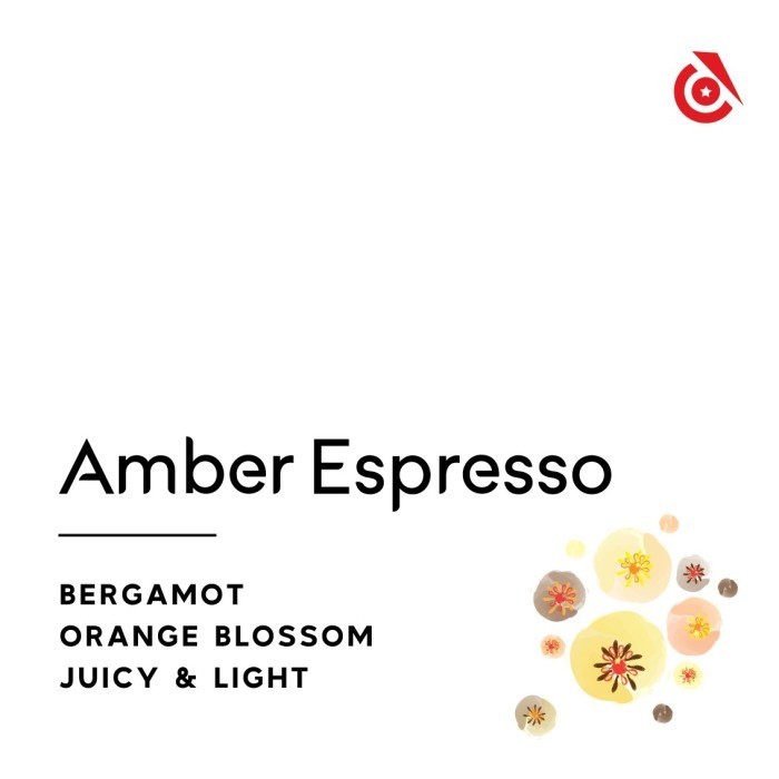 Jual Amber Espresso Ethiopian Washed - Instinct Coffee - Biji kopi ...