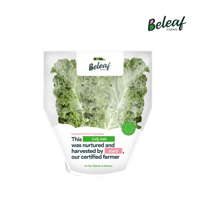 Jual Beleaf Farms Kale Curly Hidroponik 225 gram | Shopee Indonesia