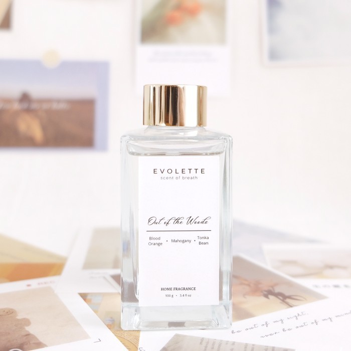 Jual Evolette Reed Diffuser - Out of The Woods - 100ml | Shopee Indonesia