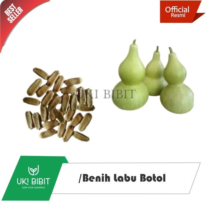 Jual ( 1 Kg ) Benih Labu Botol | Bottle Gourd | Lagenaria | Squash ...